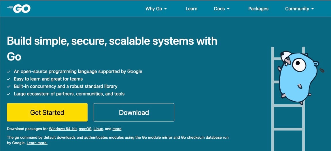 Cara mudah Install Go (Golang) di Linux, macOS, dan Windows